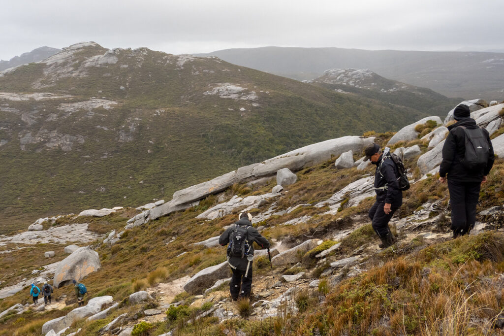 8 Day Unseen Stewart Island | ANZCRO