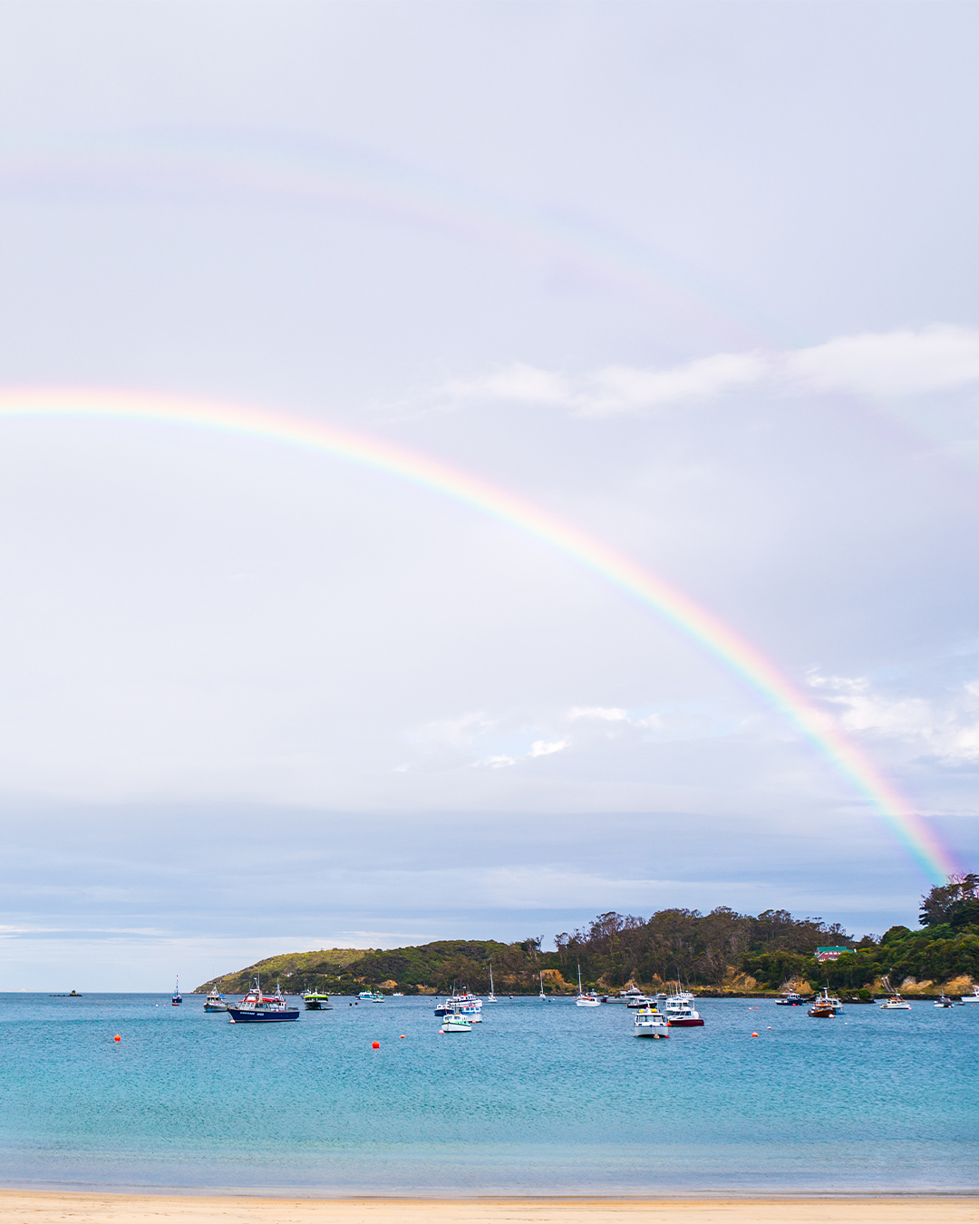 Stewart Island / Rakiura | ANZCRO